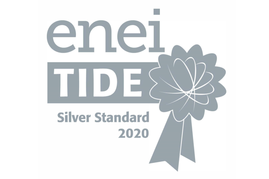 AWE receives Silver Award for Diversity and Inclusion benchmarking – AWE